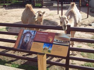 Gopher Sign | Your One-Stop Durable Sign Manufacturer